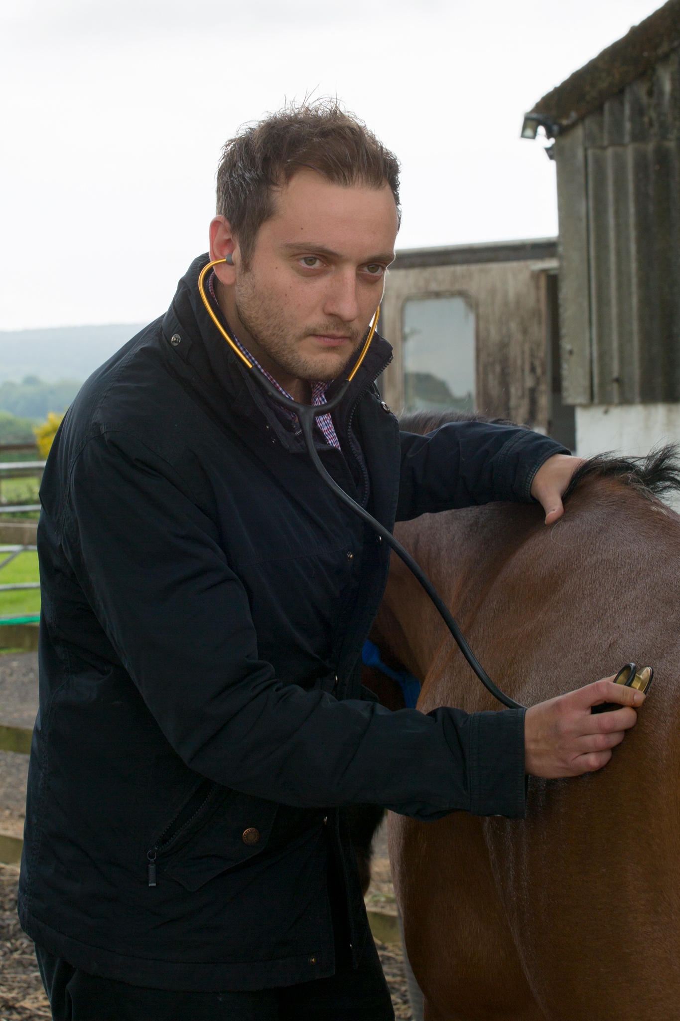 Home - Your Trusted Equine Partner